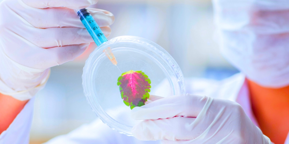 Uncovering the Threats of Bacterial Contamination in Our Drinking Water ...