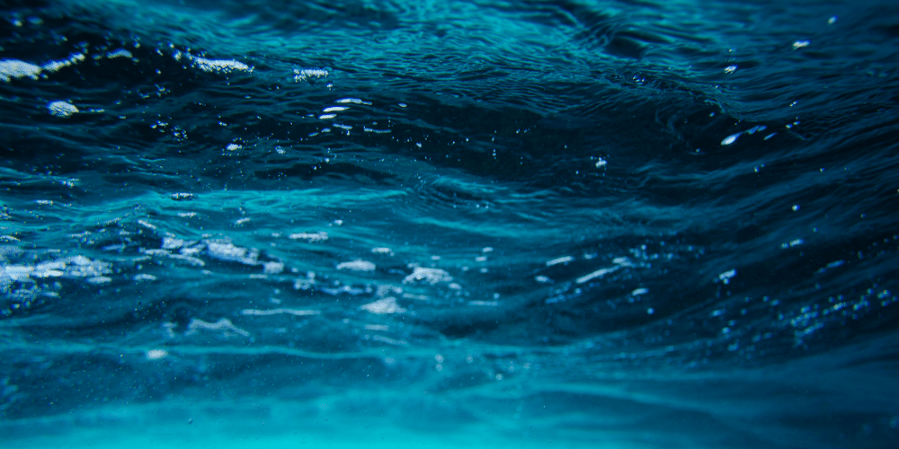Plastic Waste and its Impact on Water Quality and the Environment ...