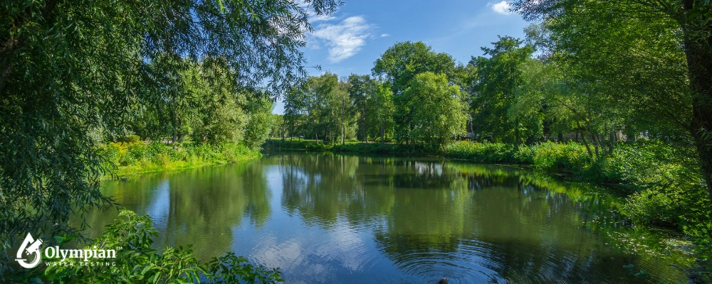 Effective Methods for Cleaning Pond Water - Olympian Water Testing, LLC