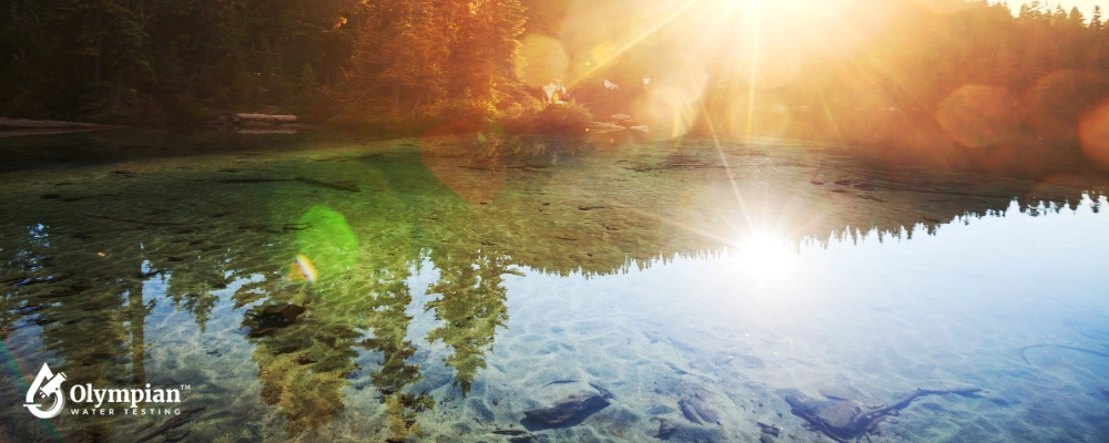 Discover the Rewards of Swimming in Natural Bodies of Water like Ponds ...