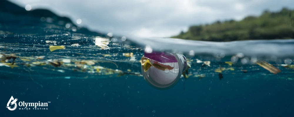 Disturbing Water Pollution Situation In Djibouti Olympian Water