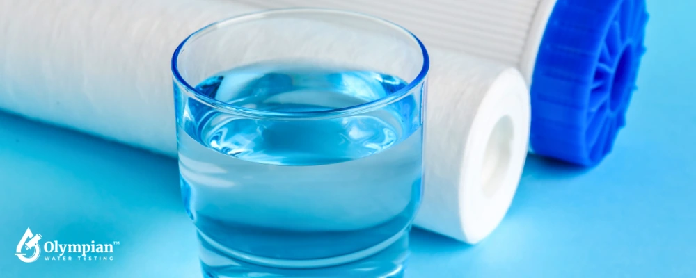 Discover Point of Use Water Filters: A Detailed Guide for Cleaner ...