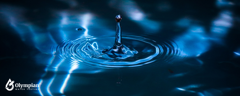 Glyphosate in Surface Water: Evaluating Contamination Levels and Trends ...