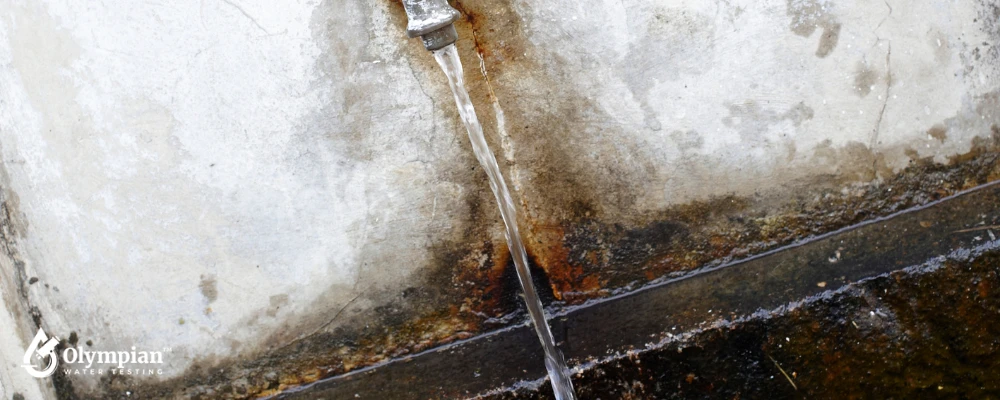 Improving Public Health in Developing Countries through Effective Water ...