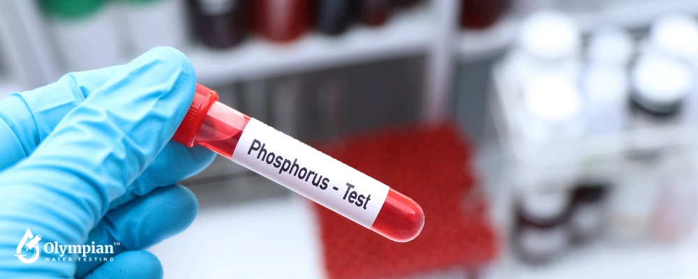Phosphorus (P) in Drinking Water - Olympian Water Testing, LLC