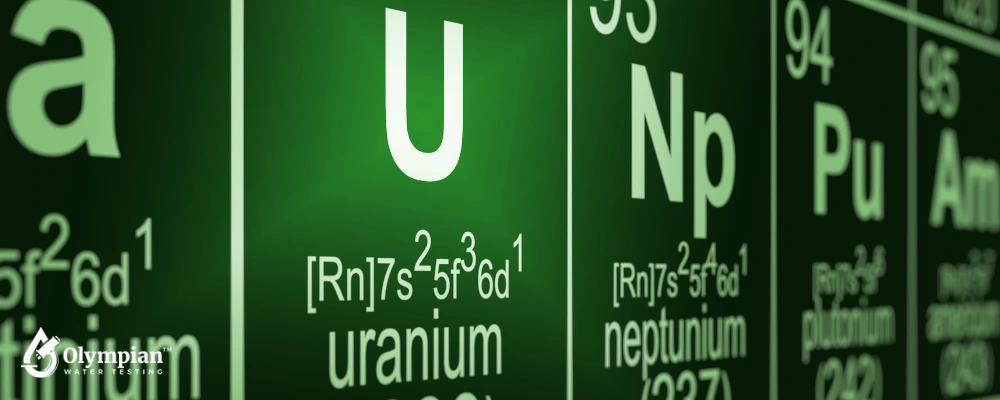 Understanding the Different Types of Uranium Contaminants and Their ...