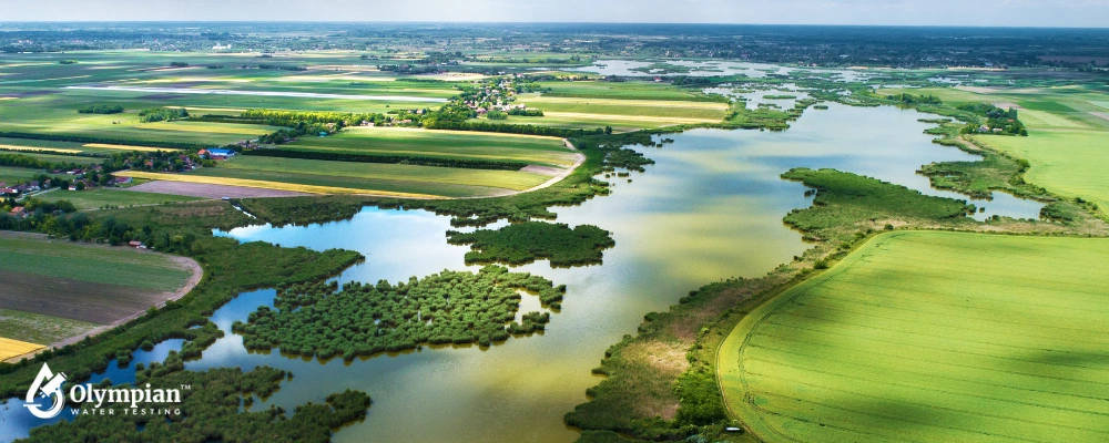 How to maintain ecological balance in nature - Olympian Water Testing, LLC