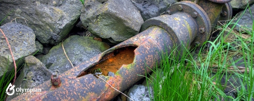 Debunking Common Myths about Heavy Metals in Drinking Water - Olympian ...