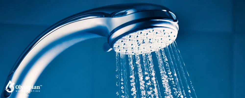 Skin Problems Associated with Showering in Contaminated Water ...