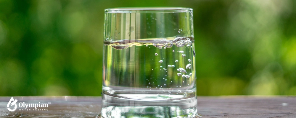 Toxic Algae Blooms: What They Mean for Your Drinking Water - Olympian ...