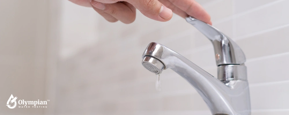 What's the Black Gunk on My Fixtures? - Olympian Water Testing, LLC