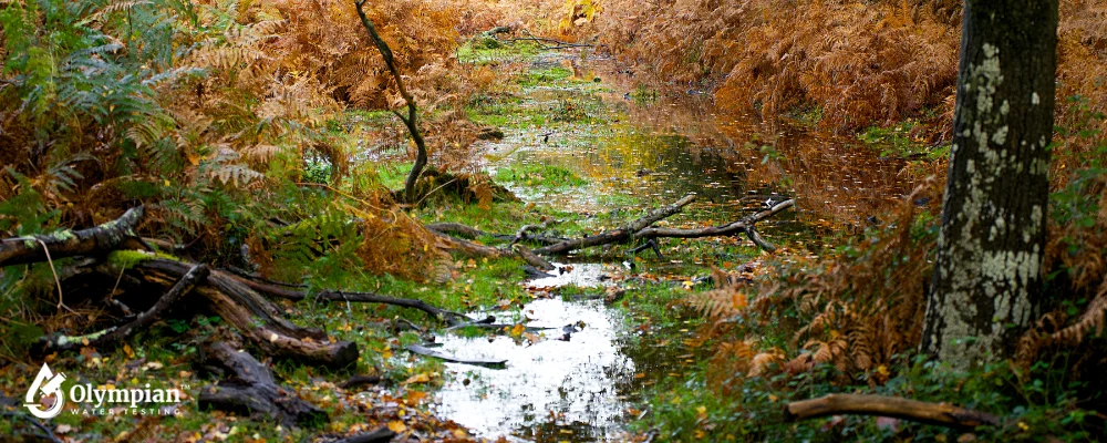 Common causes bad tasting water in NYC 2025 - Olympian Water Testing, LLC
