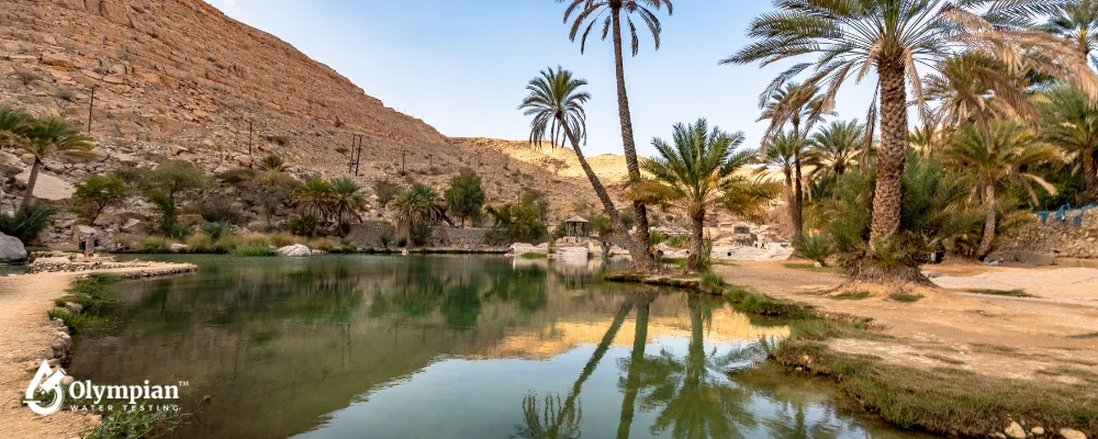 Deserts' Solution: The Benefits of Water Conservation and Management ...