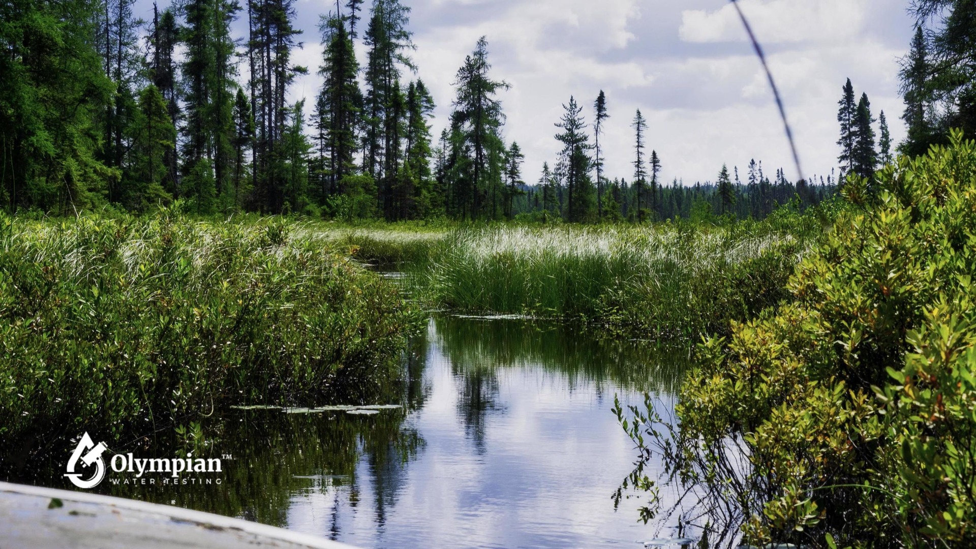 Case Studies: Communities Affected by Mercury-Contaminated Water ...