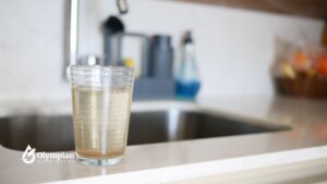 Understanding the Causes of Rusty Water in Your Home - Olympian Water ...