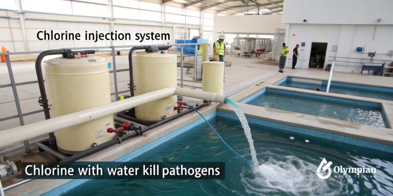 The Connection Between Chlorine and THMs in Drinking Water - Olympian ...