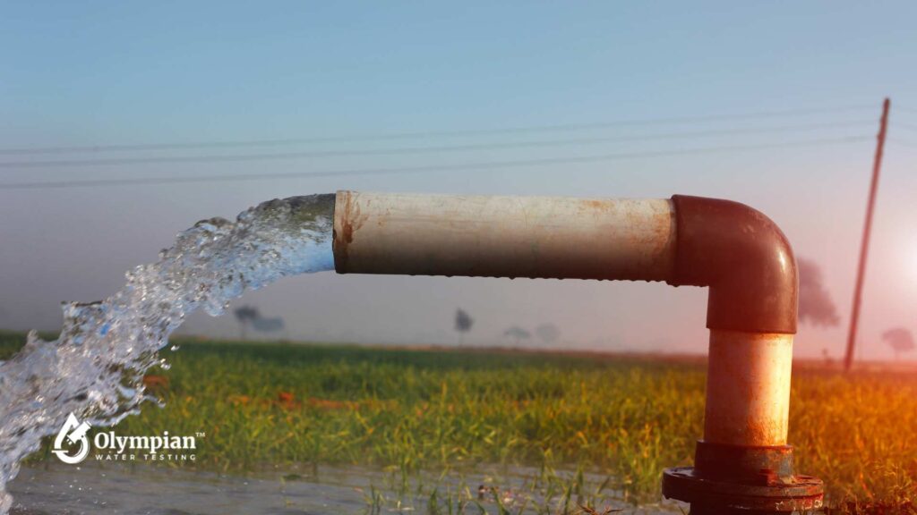 Simple Fixes for Rusty Water Caused by Iron Deposits - Olympian Water ...