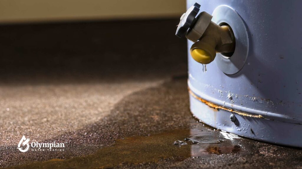 How often do Rooftop Water Towers need maintenance or inspection ...
