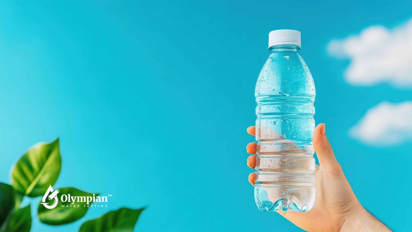 The 5 Safest Bottled Water Brands You Can Trust - Olympian Water ...