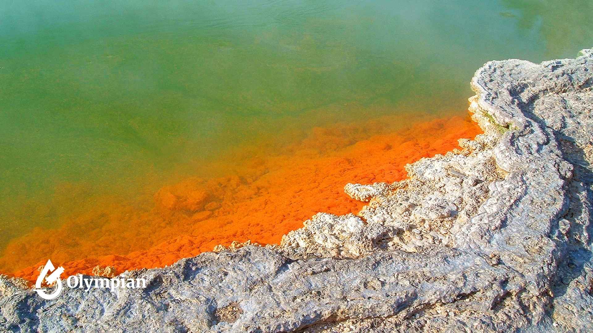 Is Georgia Tap Water Safe to Drink: Complete Guide - Olympian Water ...