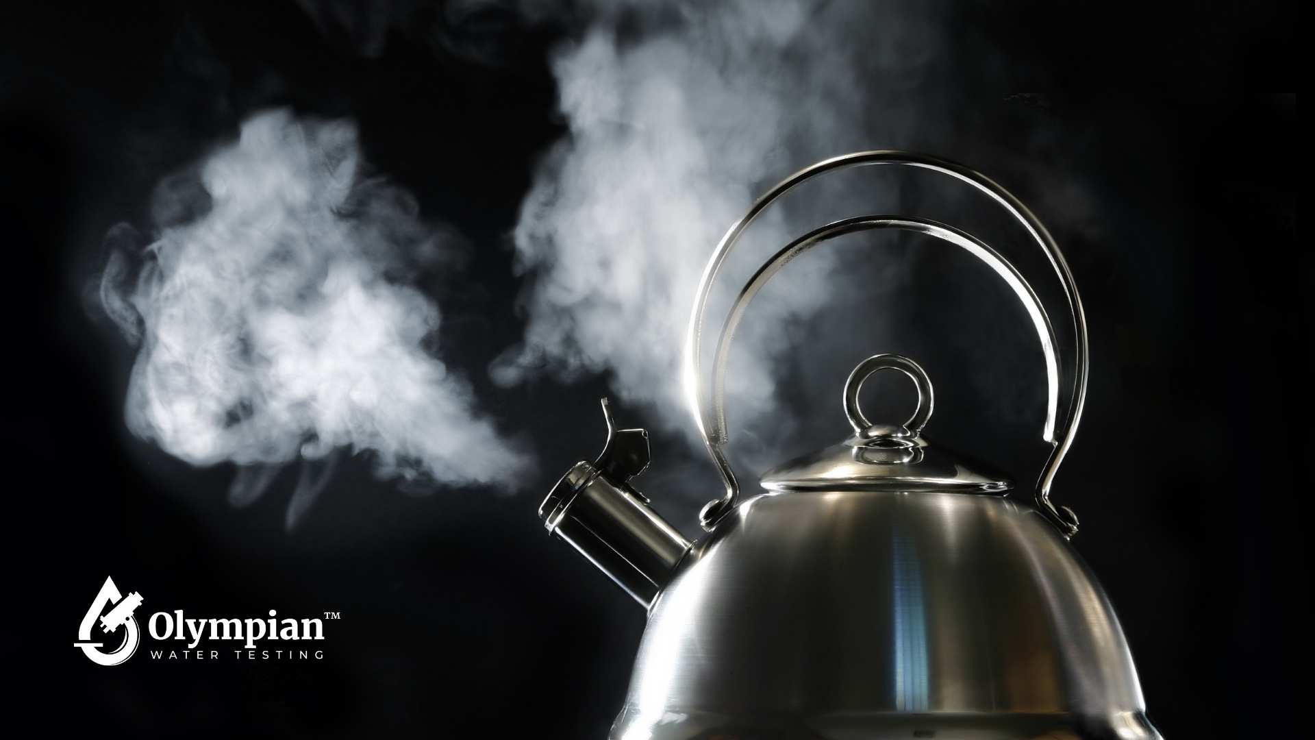 Investigating the Effectiveness of Boiling Water in Removing Lead ...