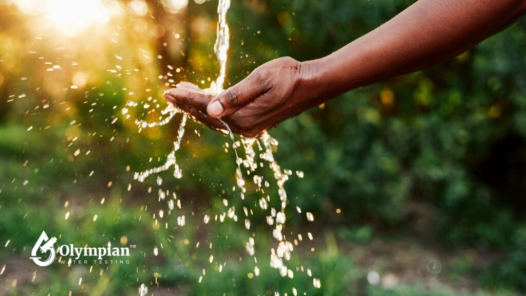 Importance of Water Conservation Awareness and Education - Olympian ...