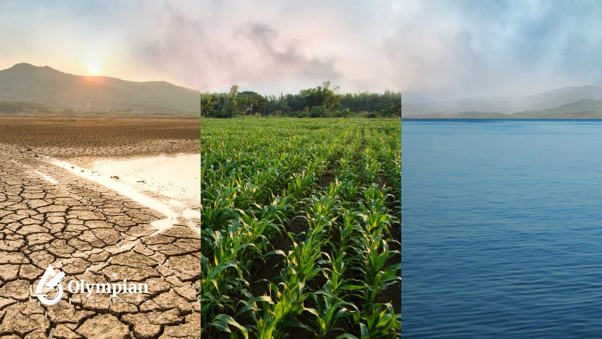 Importance of Water Conservation for Future Generations - Olympian ...