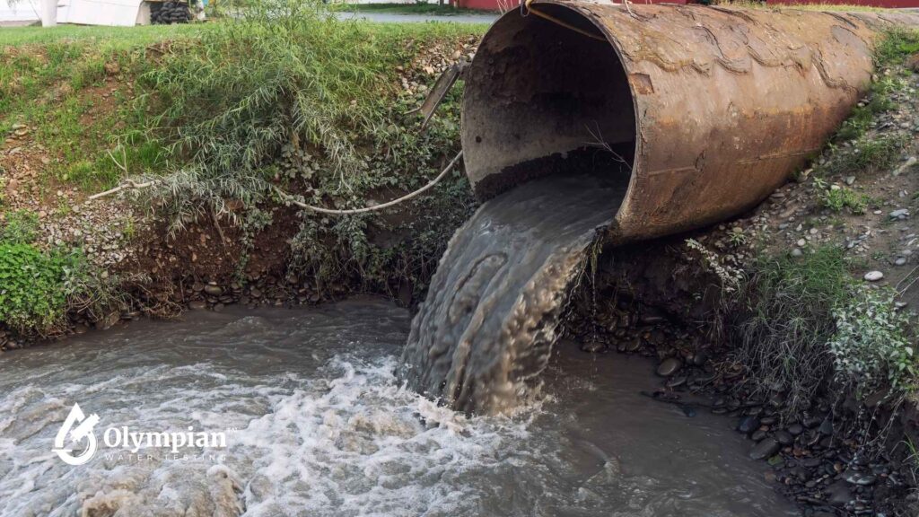 The Effects of Water Pollution on Wildlife and Natural Habitats ...
