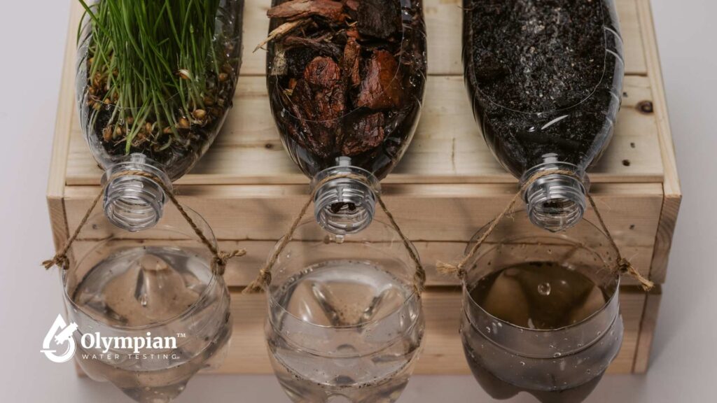 What is The Best Natural Way to Filter Water? - Olympian Water Testing, LLC