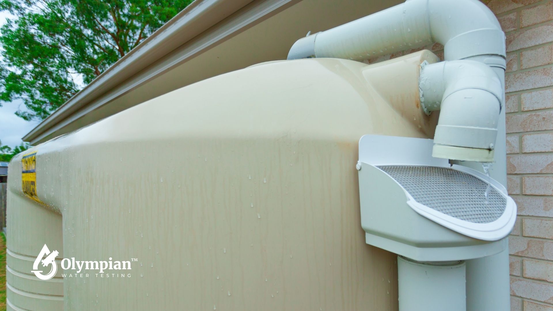 rainwater harvesting methods - Olympian Water Testing, LLC
