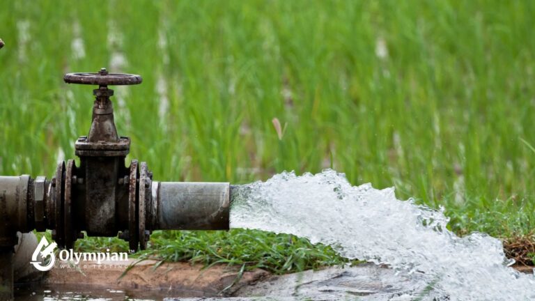 A Guide to Understanding Water Quality Indicators and Standards ...