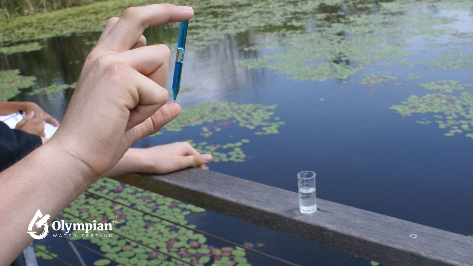 total suspended solids in water explained - Olympian Water Testing, LLC
