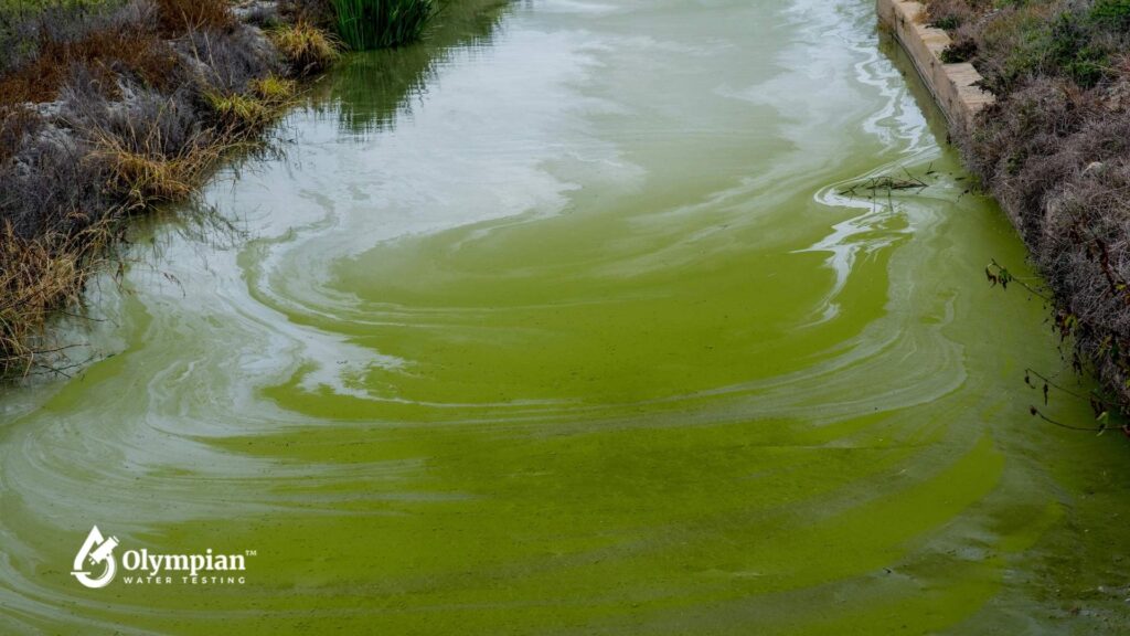 How Well Depth Affects Water Quality and Safety - Olympian Water ...
